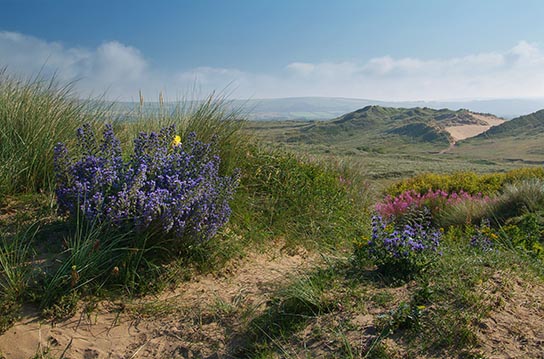 North Devon Coast – National Landscape
